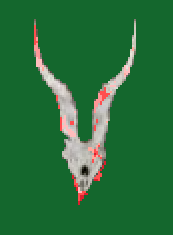 Orcs Of Angmar | Middle Earth Wiki | Fandom