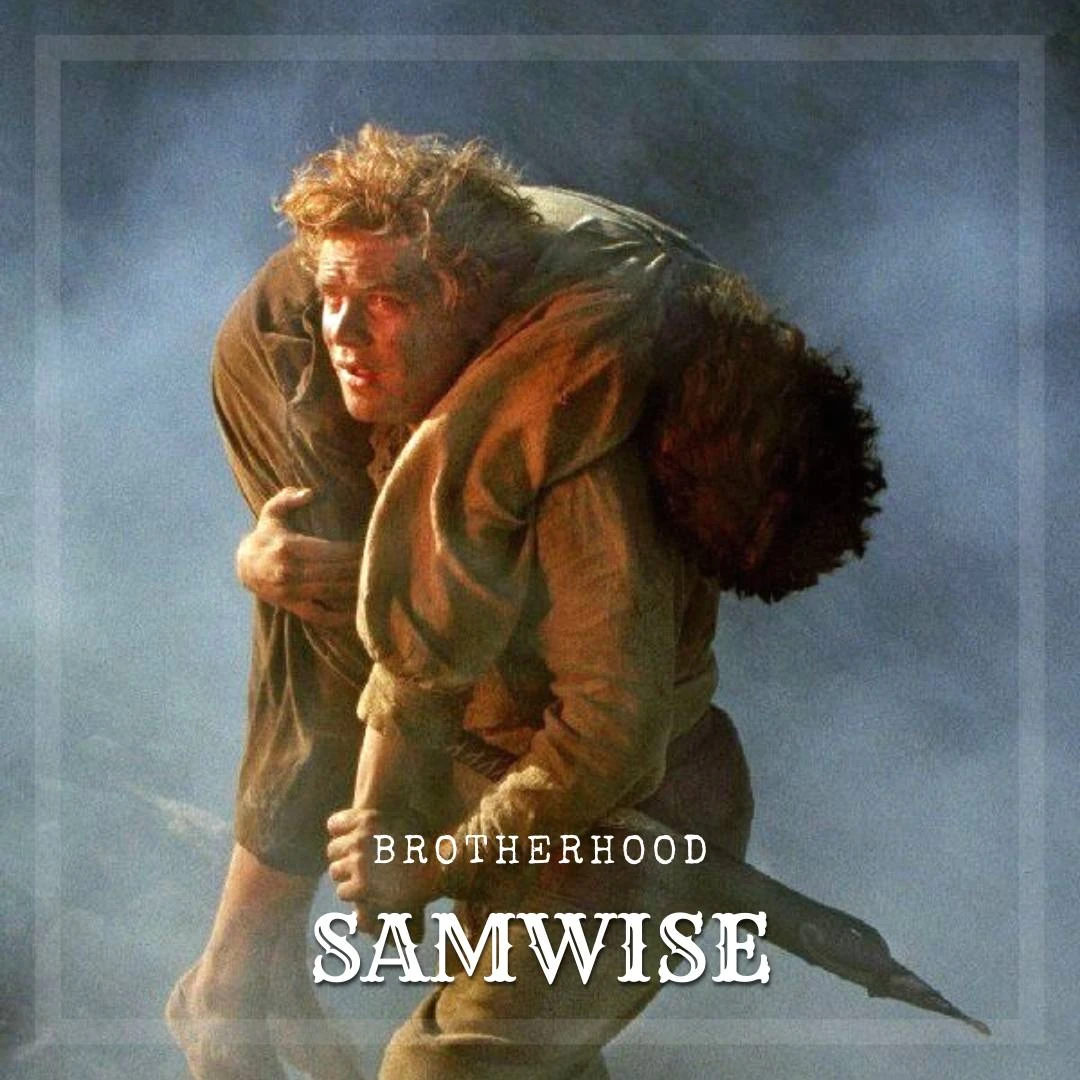 Samwise | Middle Earth Wars Wiki | Fandom