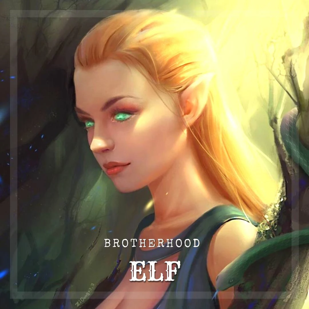 ELF | Middle Earth Wars Wiki | Fandom