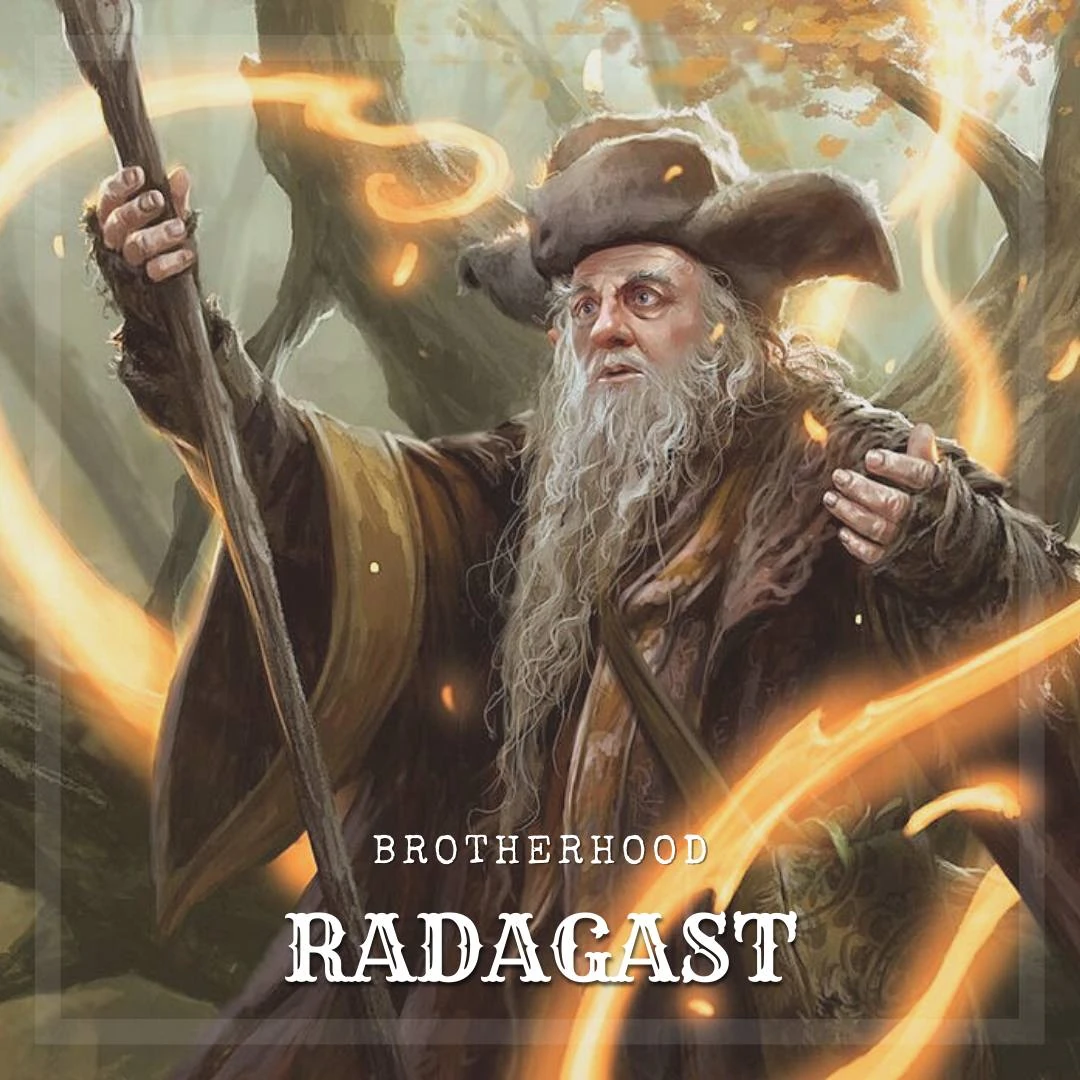 Radagast | Middle Earth Wars Wiki | Fandom