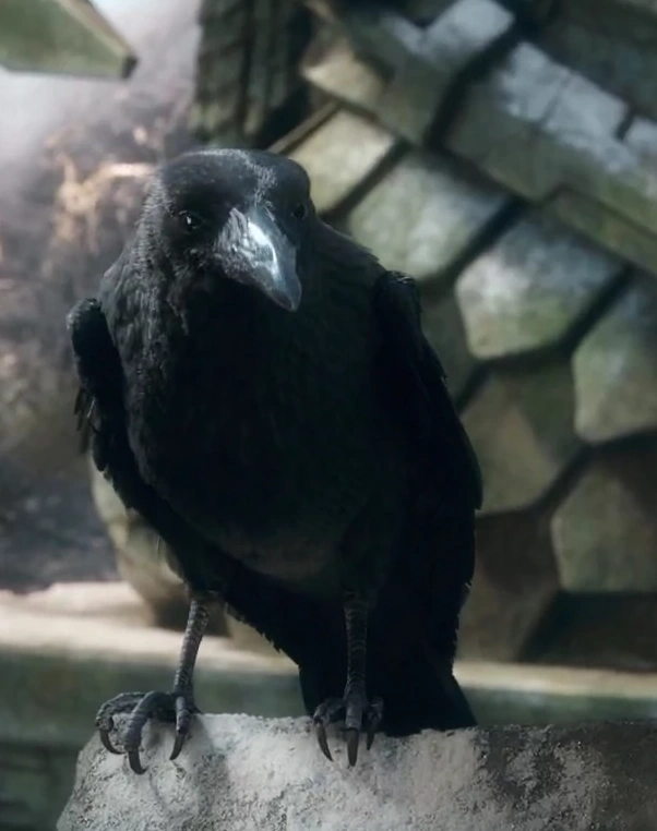 Roac | The Hobbit LOTR Wiki | Fandom