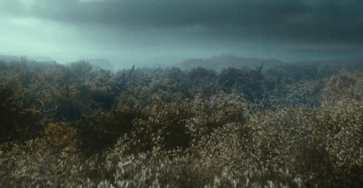 Mirkwood | The Hobbit LOTR Wiki | Fandom