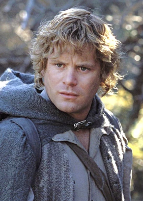 Sam Gamgee | The Hobbit LOTR Wiki | Fandom