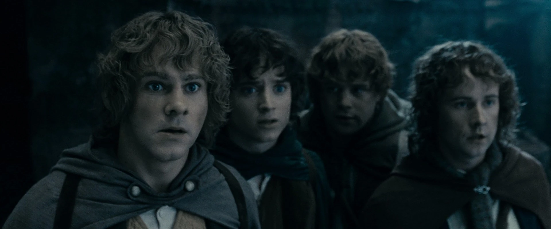 Pippin Took | Middle-earth Film Saga Wiki | Fandom