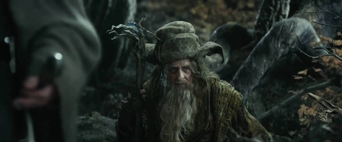 Radagast | Middle-earth Film Saga Wiki | Fandom