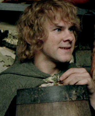 Merry Lord Of The Rings Actor