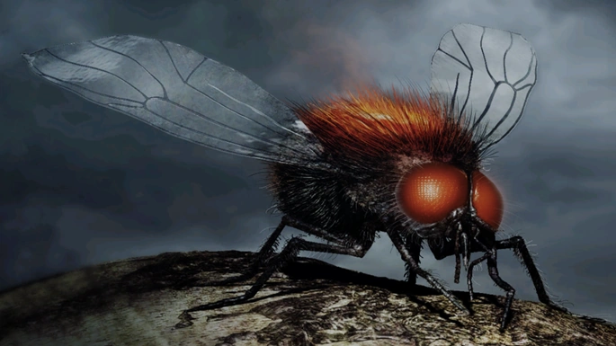 Morgai Flies | Middle-earth: Shadow of War Wiki | Fandom