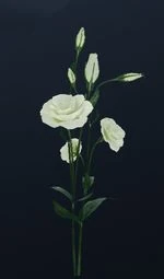 Niphredil | Middle-earth: Shadow of War Wiki | Fandom