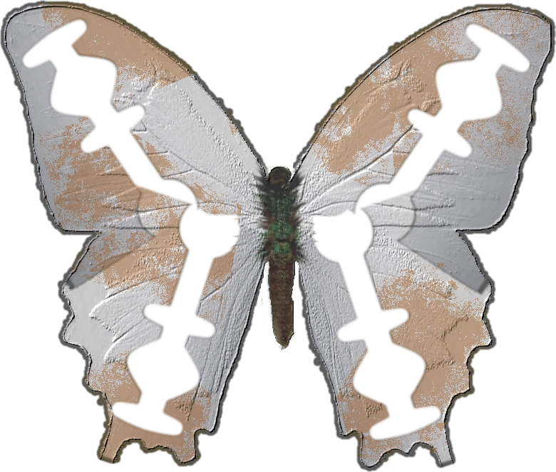 Razorblade butterfly | Midian: Dark Fantasy Role Playing Game Wiki | Fandom