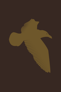 Crydee | Midkemia Wiki | Fandom