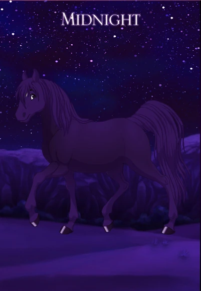Midnight | Midnight Magic Wiki | Fandom