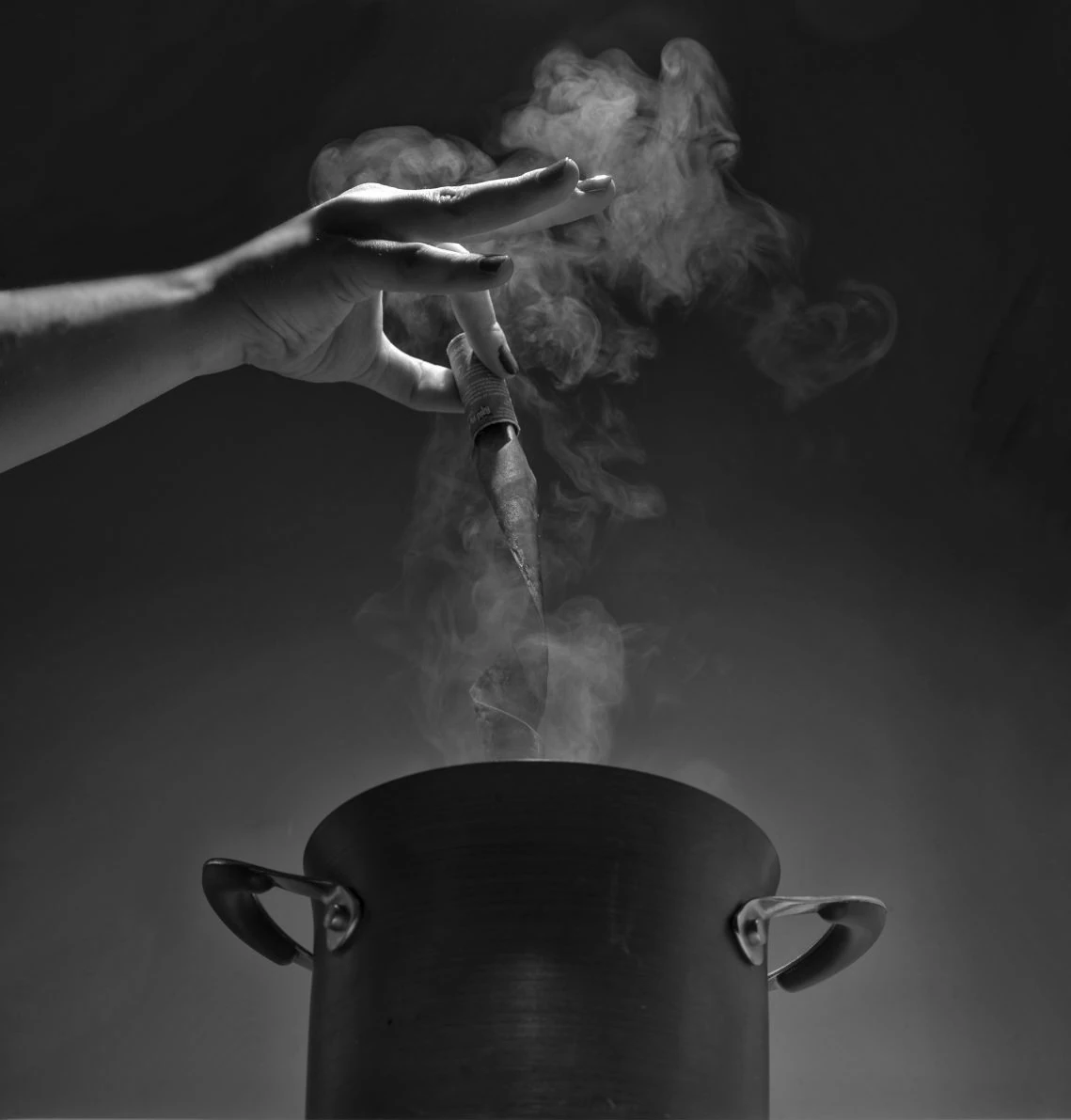 The Chef | Midnight Paper Wiki | Fandom