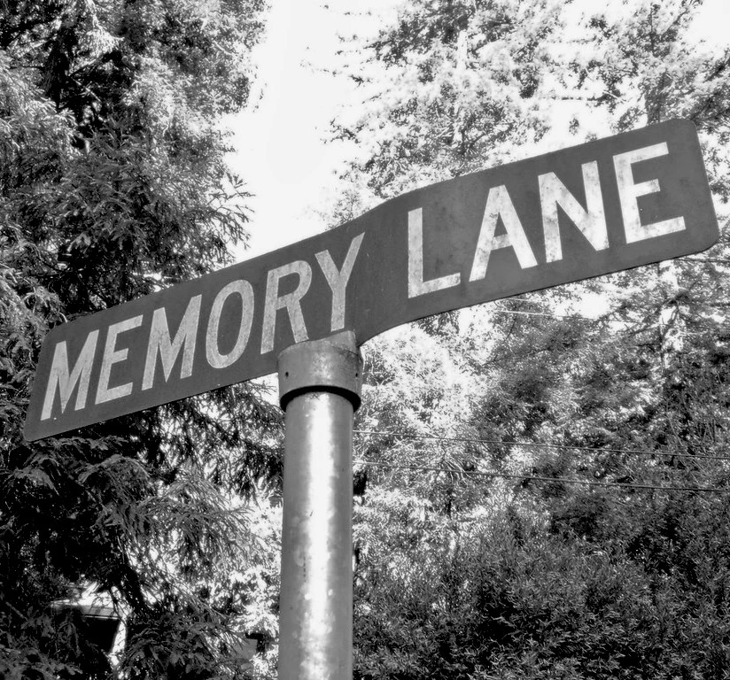 Memory Lane | Midnight Paper Wiki | Fandom