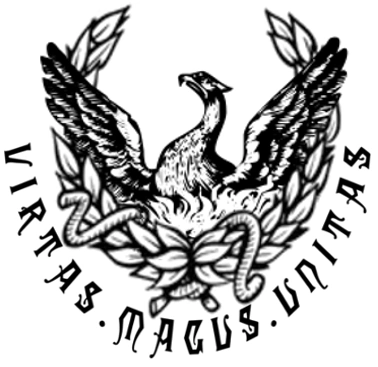 Magic Council | Midnight Reflections Wiki | Fandom