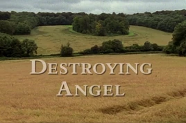 Destroying Angel | Midsomer Murders Wiki | Fandom