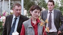 Orchis Fatalis | Midsomer Murders Wiki | Fandom