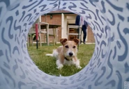 Claws Out | Midsomer Murders Wiki | Fandom