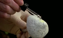 Destroying Angel | Midsomer Murders Wiki | Fandom
