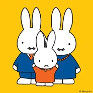 Miffy/Gallery/Artworks | Miffy & Friends Wikia | Fandom