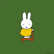 Miffy/Gallery/Artworks | Miffy & Friends Wikia | Fandom