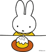 Miffy/Gallery/Artworks | Miffy & Friends Wikia | Fandom