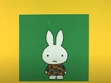 Category:Characters | Miffy & Friends Wikia | Fandom