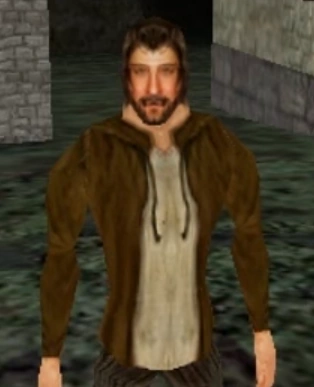 Hring | Might and Magic Wiki | Fandom