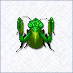Magic mantis | Might and Magic Wiki | Fandom