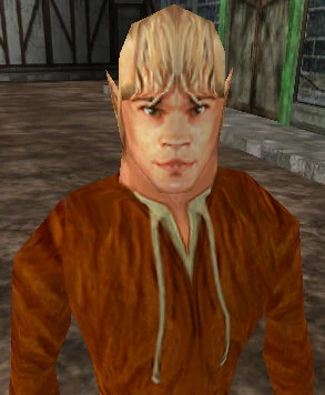 Devlin (MM9) | Might and Magic Wiki | Fandom