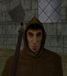 Addis (brown monk) | Might and Magic Wiki | Fandom
