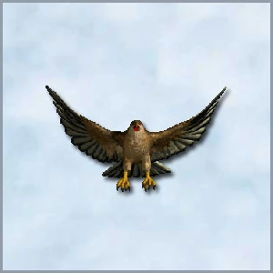 Roc (MM7) | Might and Magic Wiki | Fandom