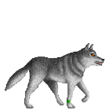 Running Wolves Gif