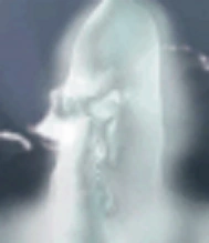 Zephyr (MM8) | Might and Magic Wiki | Fandom