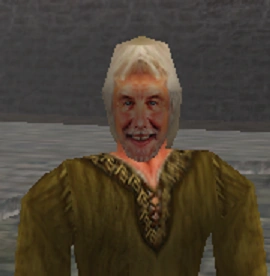 Gudlaug Ragnarssen | Might and Magic Wiki | Fandom