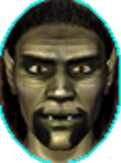 Zoltan (MM7) | Might and Magic Wiki | Fandom