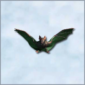 Giant bat (MM7) | Might and Magic Wiki | Fandom