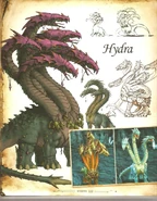 Hydra (H5) | Might and Magic Wiki | Fandom