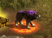 Void-controlled wolf | Might and Magic Wiki | Fandom