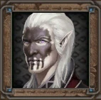 Salvin | Might and Magic Wiki | Fandom