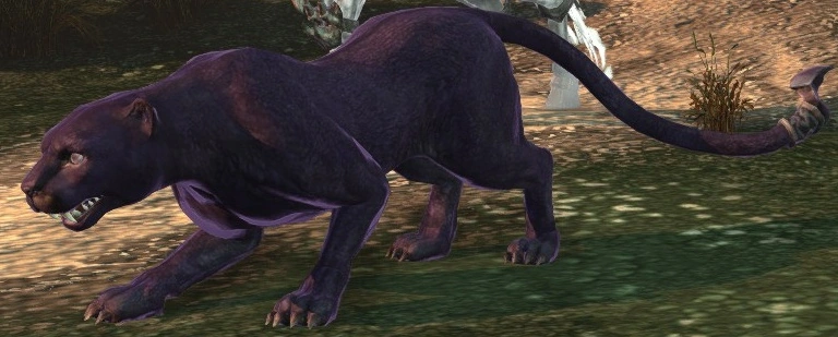 Shadow panther (H7) | Might and Magic Wiki | Fandom