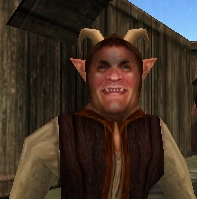 Mirek | Might and Magic Wiki | Fandom