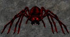 Queen spider | Might and Magic Wiki | Fandom