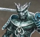 Arashi | Might and Magic Wiki | Fandom