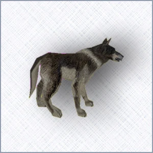 Grey wolf | Might and Magic Wiki | Fandom
