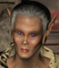 Jessica (MM7) | Might and Magic Wiki | Fandom