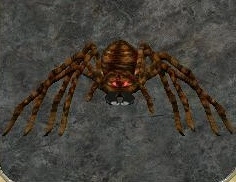 Spider (MM6) | Might and Magic Wiki | Fandom