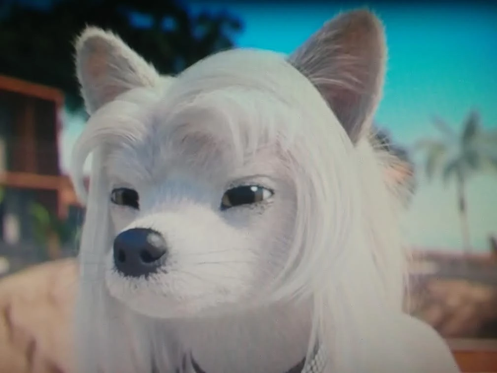 Skate Pool | Mighty Mike Wiki | Fandom