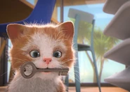 Fluffy | Mighty Mike Wiki | Fandom