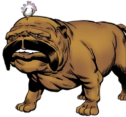 Lockjaw | The Mighty Thor | Fandom