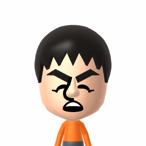 Nin★Ichiro | Mii Archives Wiki | Fandom